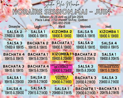 Horaire | Studio Blue Mambo